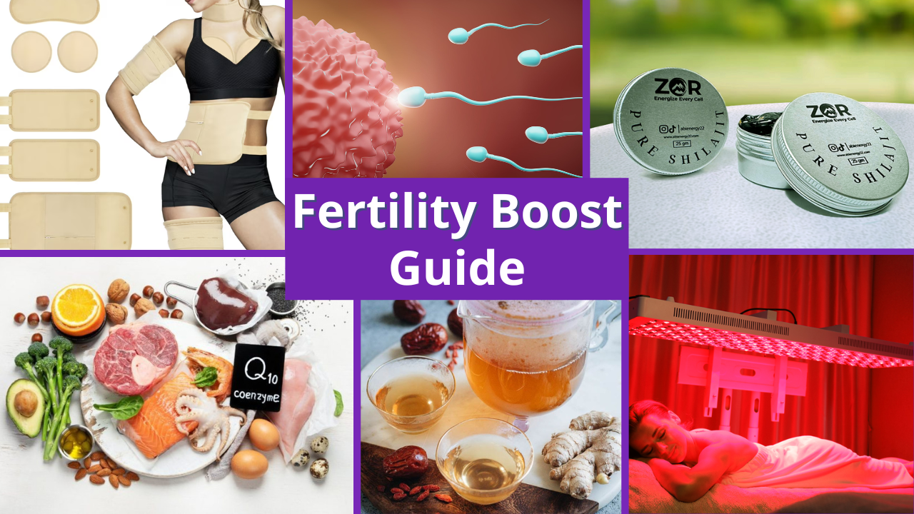 Fertility Boost Guide - Abi Energy 22 | Juan Abi | ZOR Pure Shilajit
