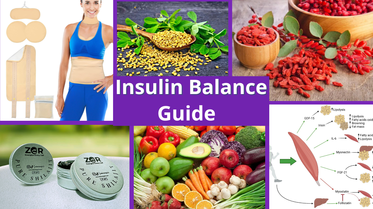Insulin Balance Guide - Abi Energy 22 | Juan Abi | ZOR Pure Shilajit